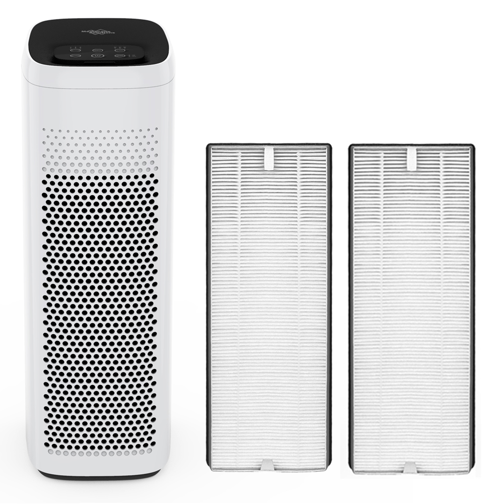 Air Home Purifier Hepa Cleaner Room Large Allergies Filter True Smoke ...